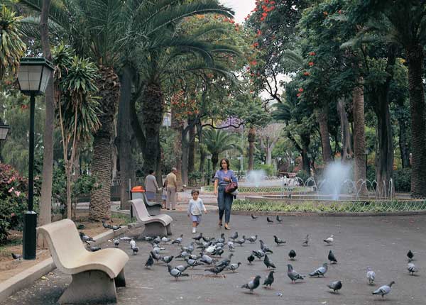 Parque Municpal García Sanabria in Santa Cruz
